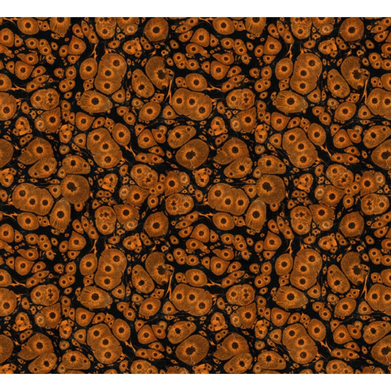 Laboratory Molecular Orange Fabric - Colorful Quilting Fabric, Precut ...